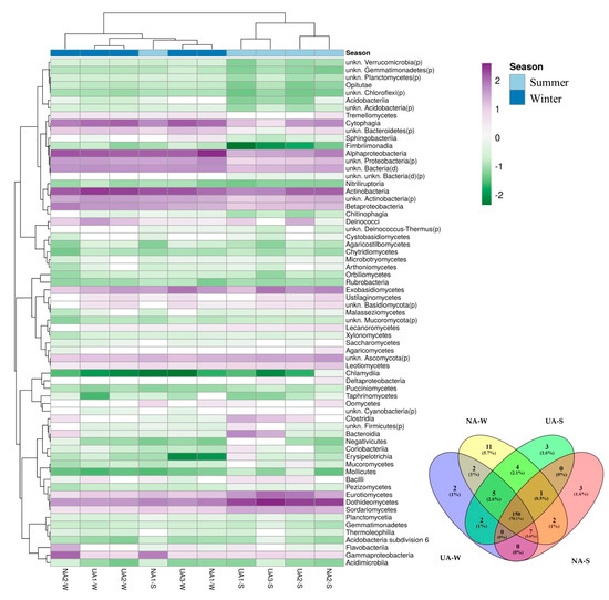 Quercus ilex Phyllosphere Microbiome Environmental-Driven Structure and ...
