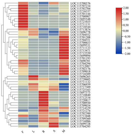 Single-Molecule Real-Time Sequencing of Full-Length Transcriptome and ...
