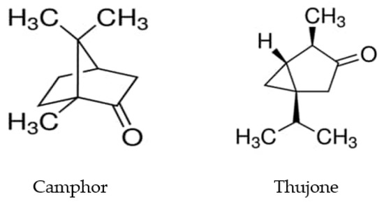 Pure Camphor and a Thujone-Camphor Mixture as Eco-Friendly Antifeedants ...
