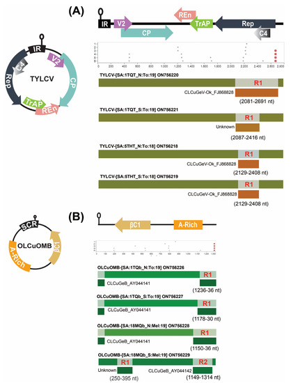 High-Throughput Sequencing Identified Distinct Bipartite and ...