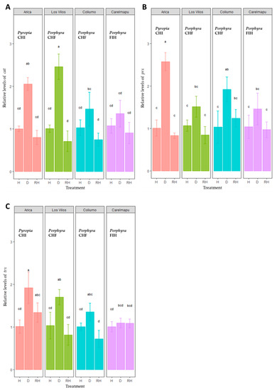 Desiccation Stress Tolerance in Porphyra and Pyropia Species: A ...