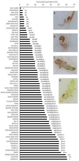 Phenotypic Diversity in Pre- and Post-Attachment Resistance to Striga ...