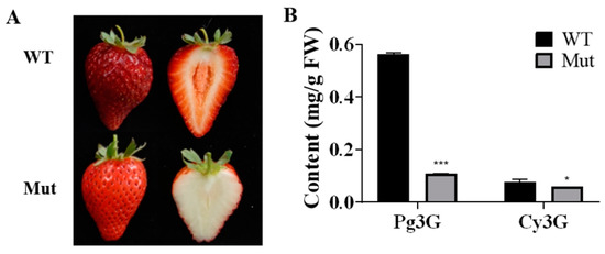 An Integrated Metabolomic and Gene Expression Analysis of ‘Sachinoka ...