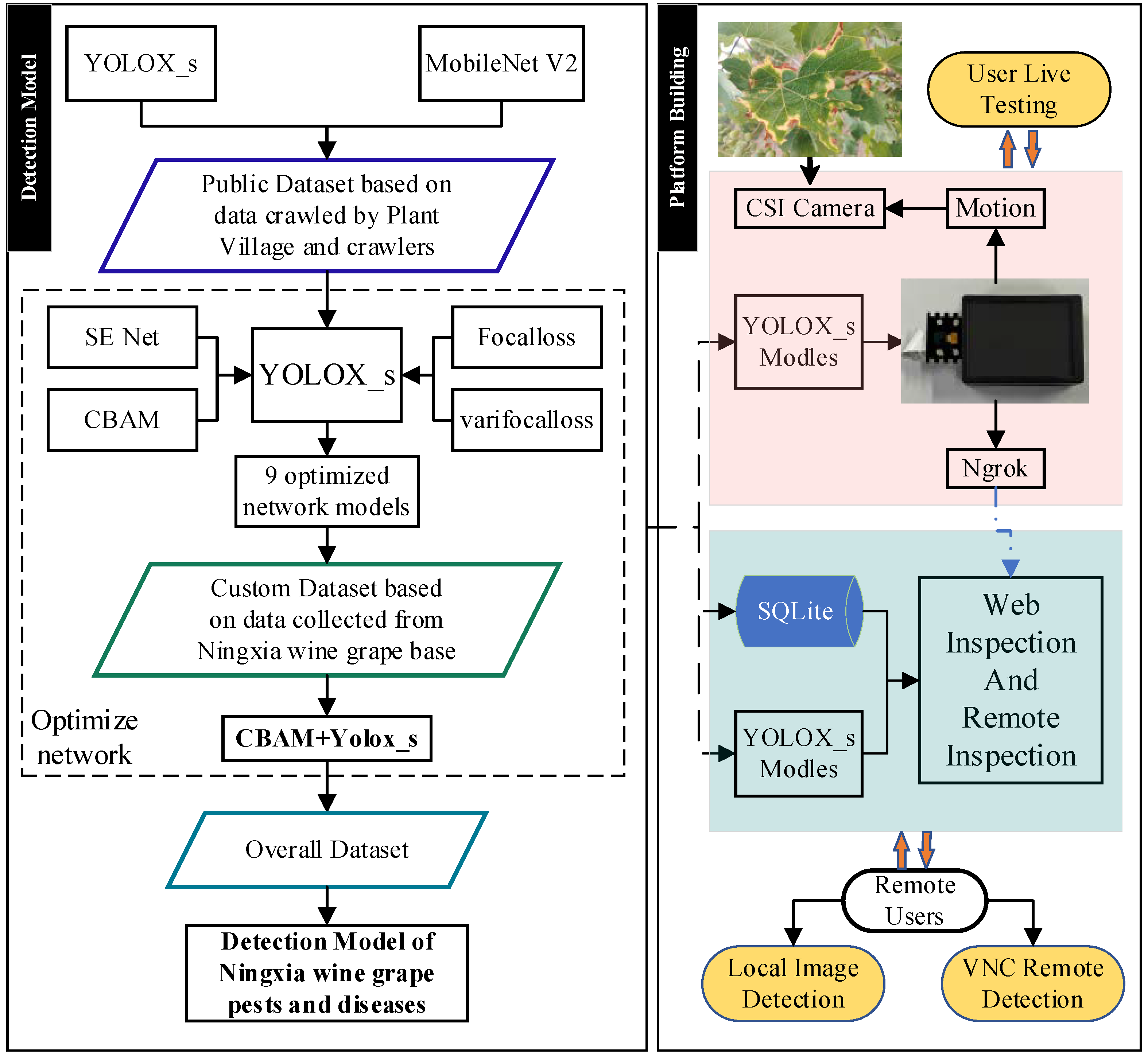 Design of Intelligent Detection Platform for Wine Grape Pests and Diseases in Ningxia