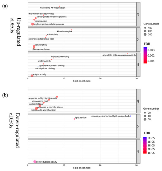 Transcriptome Analysis Identifies Novel Genes Associated with Low ...