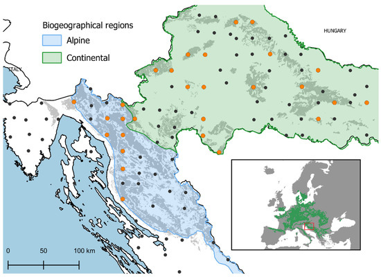 The Effect of Environmental Factors on the Nutrition of European Beech ...