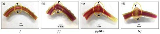Involvement of IDA-HAE Module in Natural Development of Tomato Flower ...