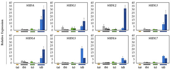 Involvement of IDA-HAE Module in Natural Development of Tomato Flower ...