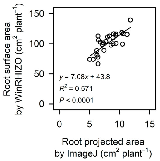Characterizing Root Morphological Responses to Exogenous Tryptophan in ...