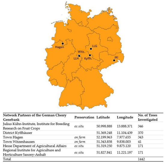 Genetic and Pomological Determination of the Trueness-to-Type of Sweet ...