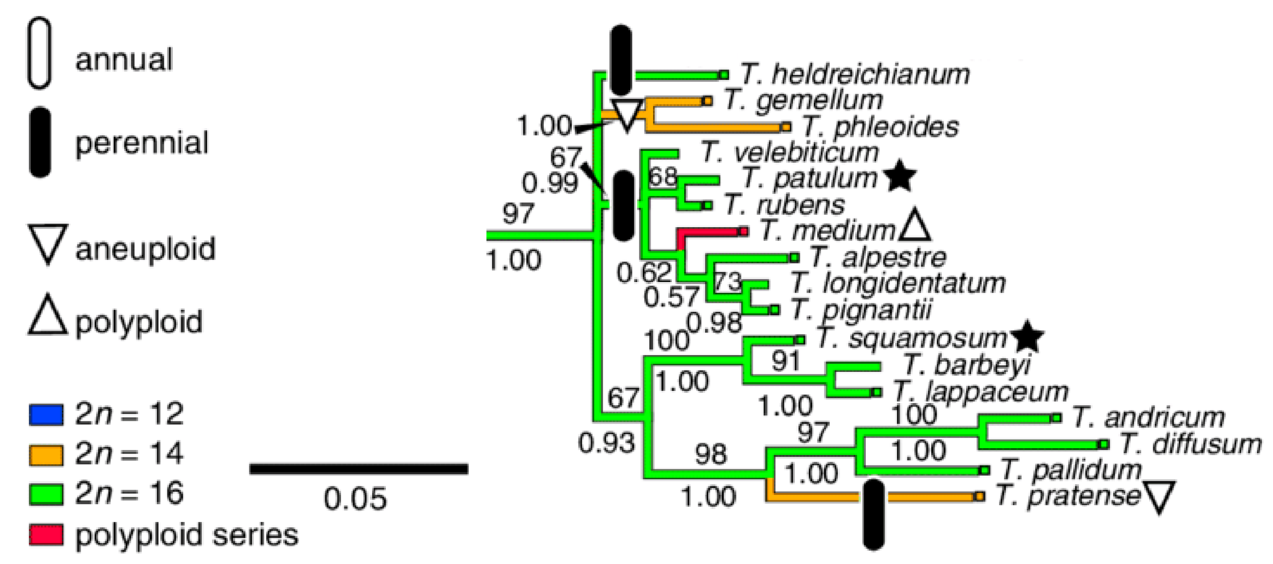 Investigating the Origin and Evolution of Polyploid Trifolium medium L ...