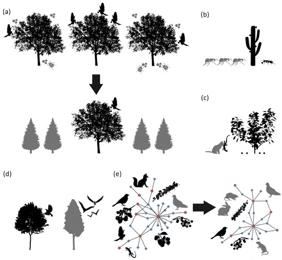 Ecological Impacts of Exotic Species on Native Seed Dispersal Systems ...