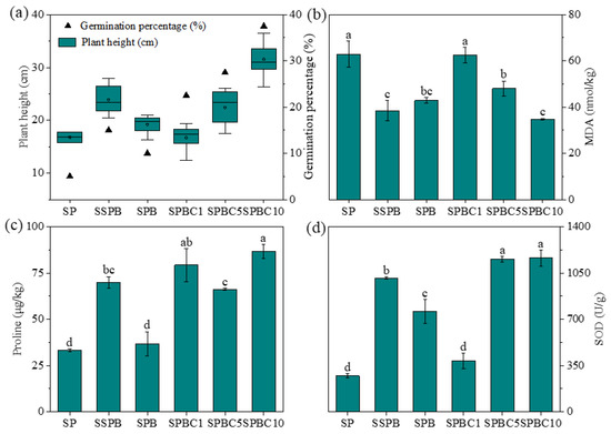 Plants | Free Full-Text | Combination of Biochar and Functional Bacteria Drives the Ecological ...