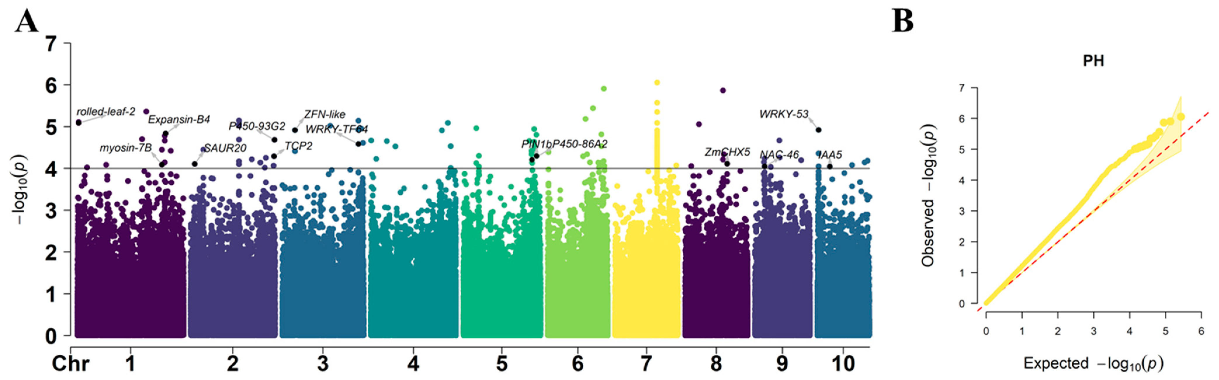 Genome-Wide Association Study and Genomic Prediction on Plant ...