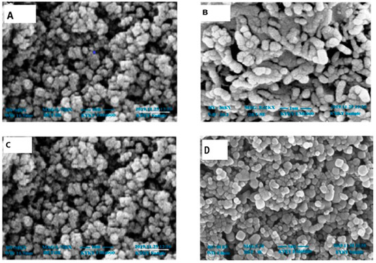 Biogenic Synthesis of Zinc Oxide Nanoparticles Using Citrullus colocynthis for Potential ...