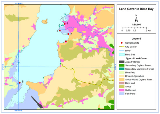 Accumulation of Plastics and Trace Elements in the Mangrove Forests of ...