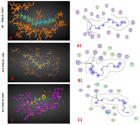 Metabolomic Profiling, Antibacterial, and Molluscicidal Properties of ...