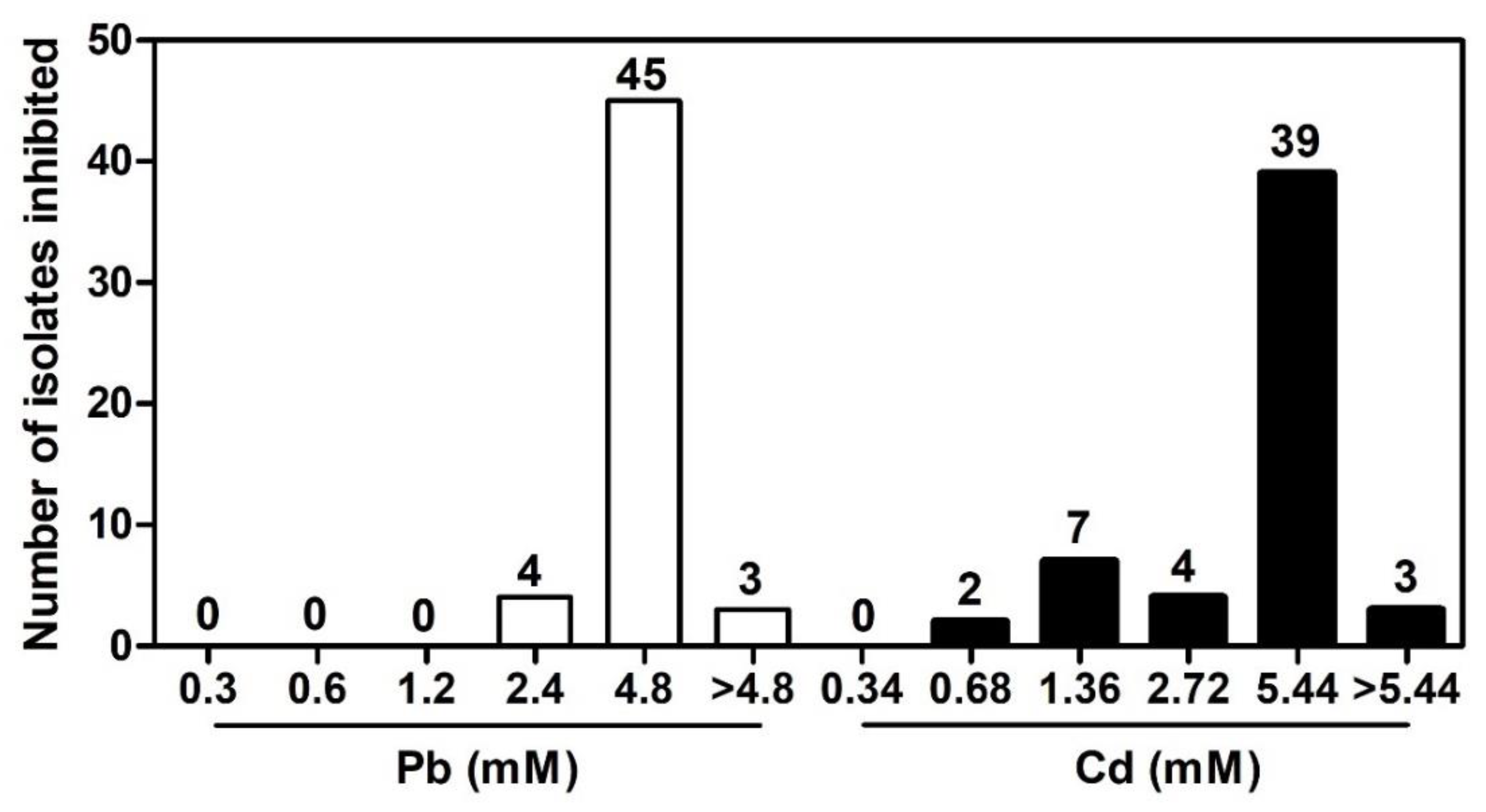 Characterization of Endophytic Bacteria Isolated from Typha latifolia ...