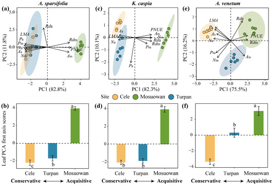 Vein Network and Climatic Factors Predict the Leaf Economic Spectrum of ...