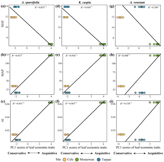 Vein Network and Climatic Factors Predict the Leaf Economic Spectrum of ...