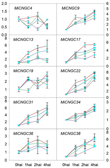 Genome-Wide Analysis and Expression of Cyclic Nucleotide–Gated Ion ...