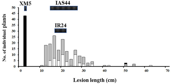 Chromosomal Location of xa19, a Broad-Spectrum Rice Bacterial Blight Resistant Gene from XM5, a ...