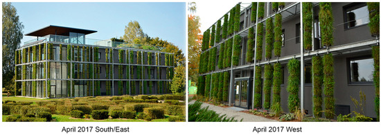 Vertical Columns with Sustainable Green Cover: Meadow Plants in Urban ...