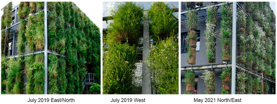 Vertical Columns with Sustainable Green Cover: Meadow Plants in Urban ...