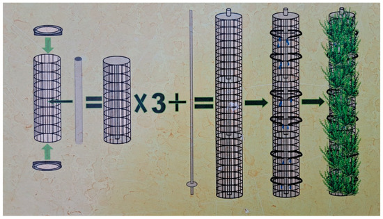 Vertical Columns with Sustainable Green Cover: Meadow Plants in Urban ...