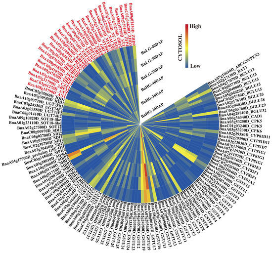 Genome-Wide Association Study of Glucosinolate Metabolites (mGWAS) in ...
