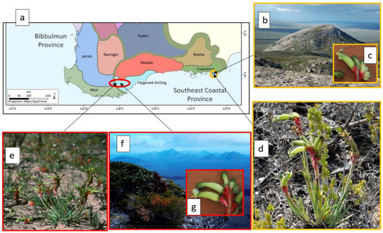 Ocbil Theory as a Potential Unifying Framework for Investigating Narrow ...