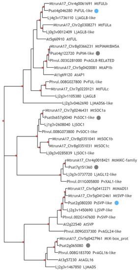 Exogenously Applied Cytokinin Altered the Bacterial Release and ...