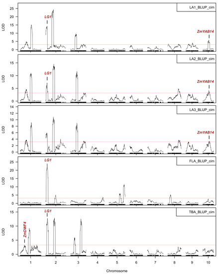 QTL Analysis Reveals Conserved and Differential Genetic Regulation of ...