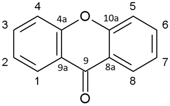 Xanthones: Biosynthesis and Trafficking in Plants, Fungi and Lichens