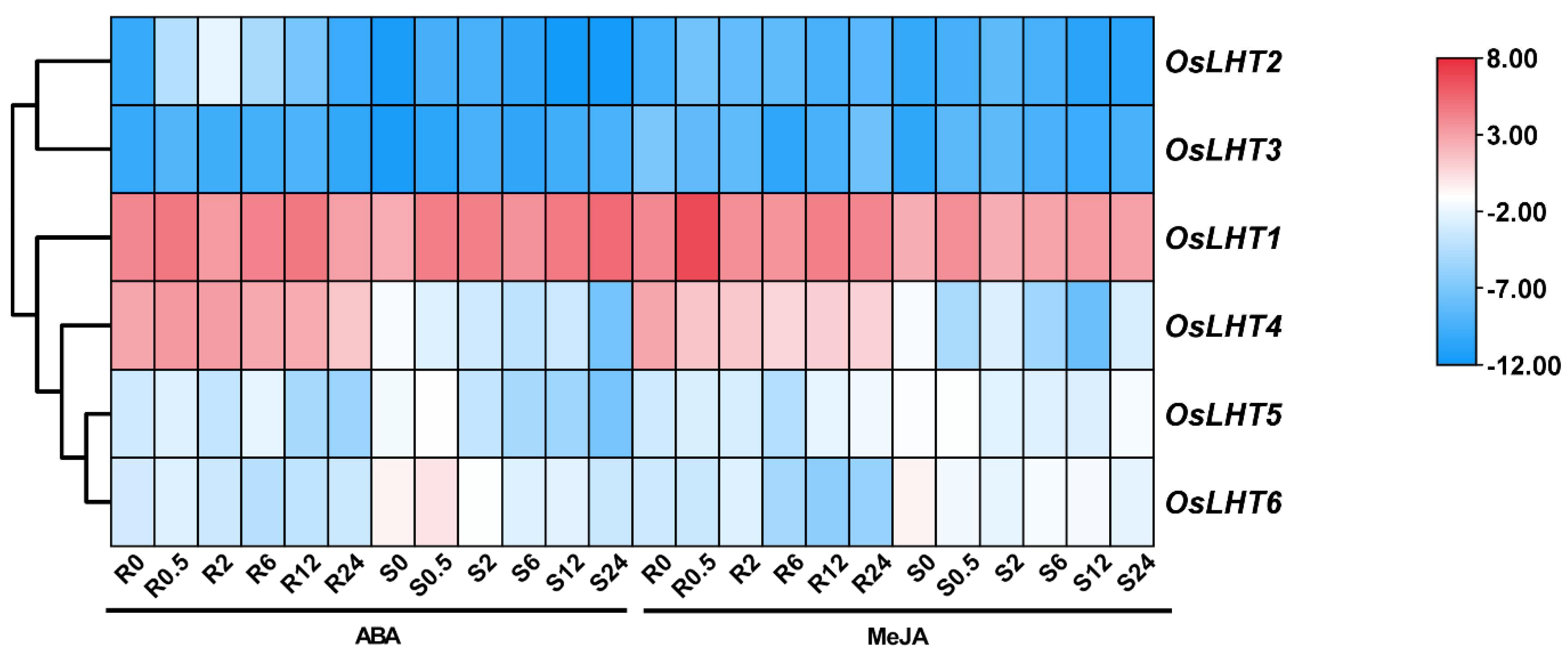 The LHT Gene Family in Rice: Molecular Characterization, Transport ...