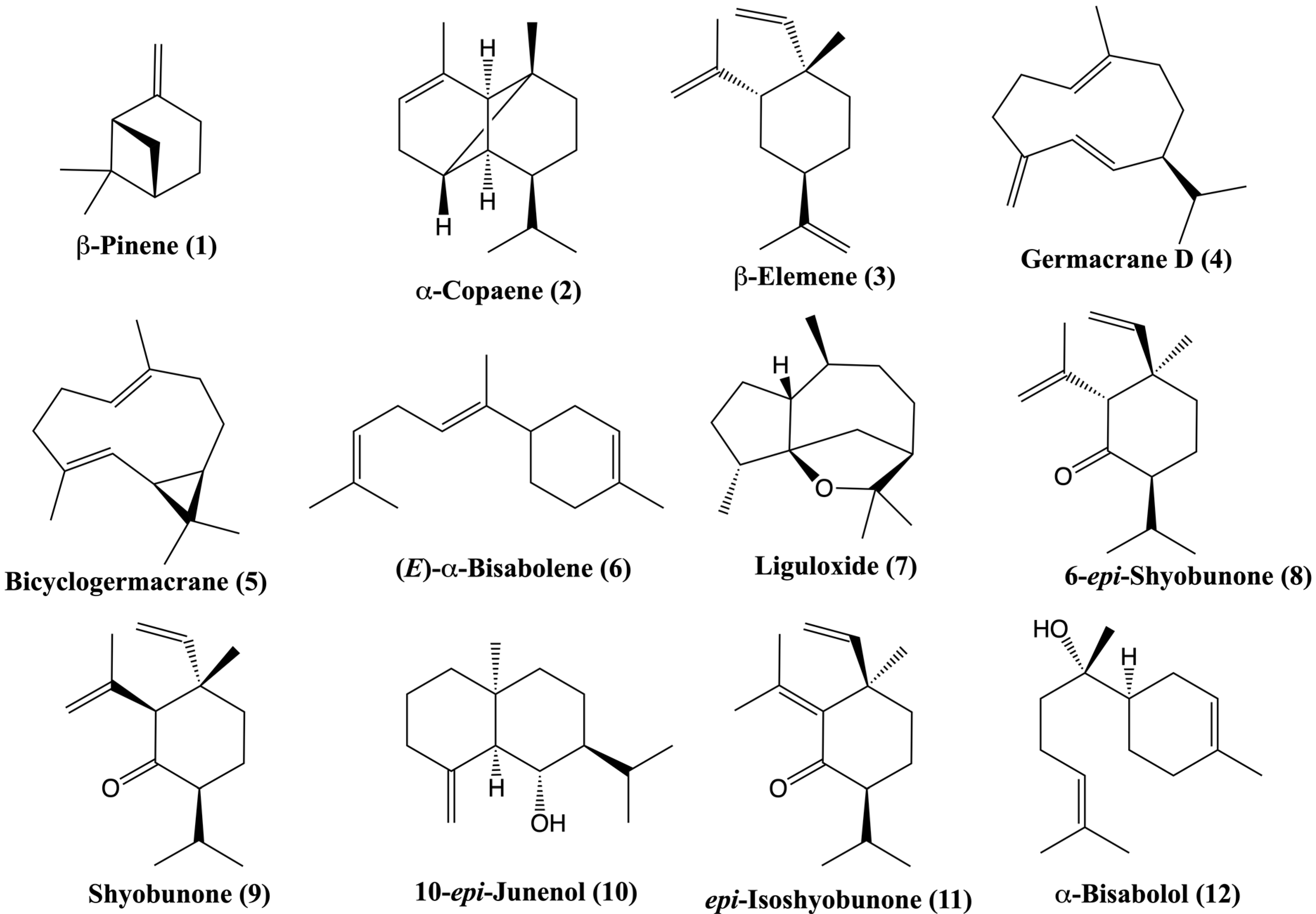 Biological Activities of the Fruit Essential Oil, Fruit, and Root ...