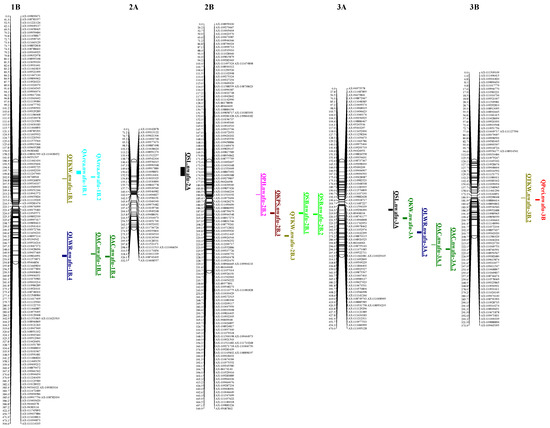 QTL Mapping for Important Agronomic Traits Using a Wheat55K SNP Array-Based Genetic Map in ...