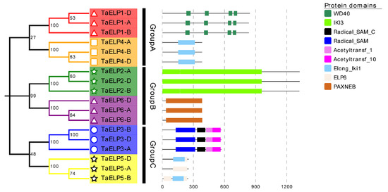 Insights into the Bioinformatics and Transcriptional Analysis of the ...