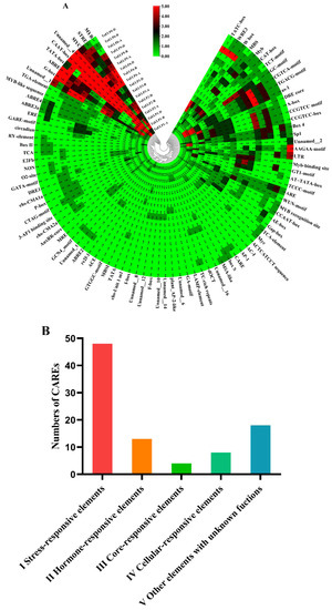 Insights into the Bioinformatics and Transcriptional Analysis of the ...