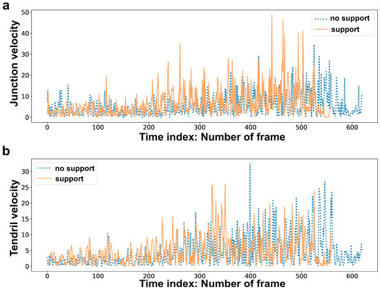 Classifying Circumnutation in Pea Plants via Supervised Machine Learning