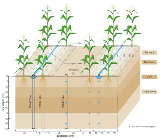 Infiltration and Water Use Efficiency of Maize Fields with Drip Irrigation and Biodegradable ...