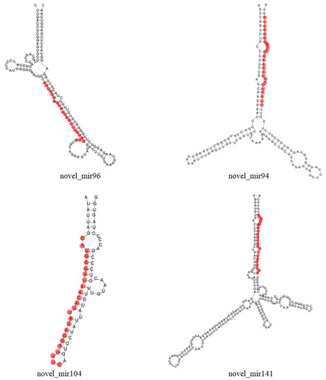 Comparative Transcriptome Profiling Reveals Key MicroRNAs and ...