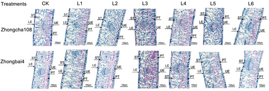 A Novel LED Light Radiation Approach Enhances Growth in Green and ...