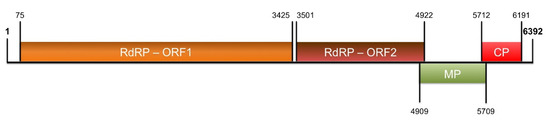 Nanopore Technology Applied to Targeted Detection of Tomato Brown ...