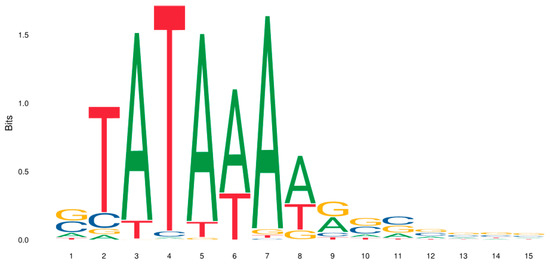 On the Role of TATA Boxes and TATA-Binding Protein in Arabidopsis thaliana