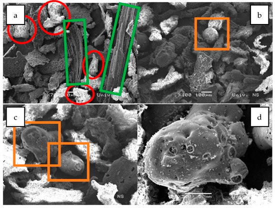 Bacillus-Loaded Biochar as Soil Amendment for Improved Germination of ...