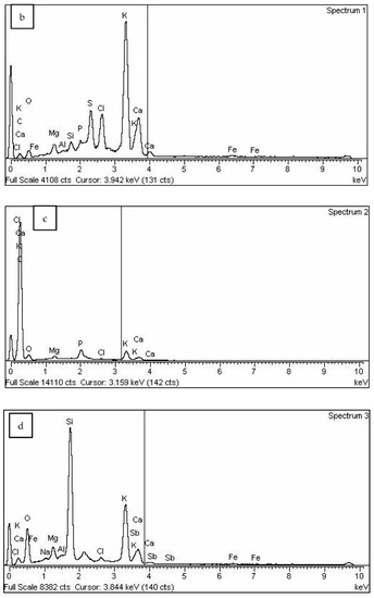 Bacillus-Loaded Biochar as Soil Amendment for Improved Germination of ...