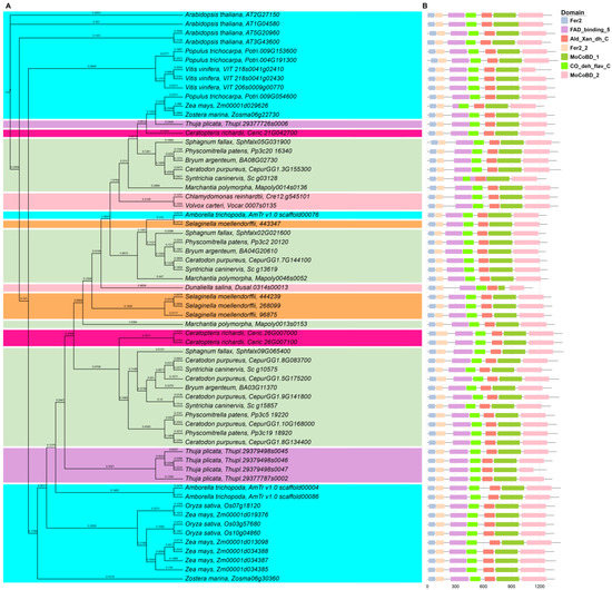 Genome-Wide Characterization and Expression Profiling of ABA ...