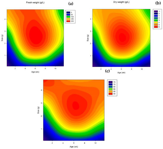 Effect of Inoculum Size and Age, and Sucrose Concentration on Cell ...