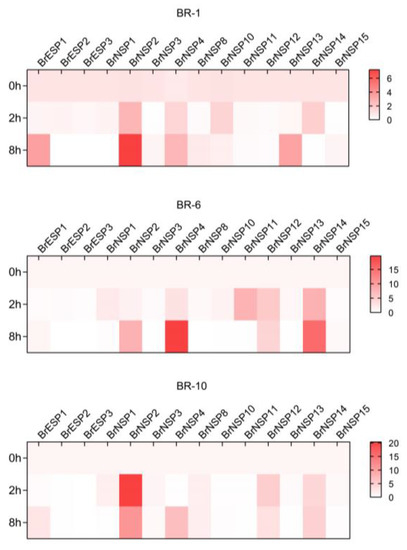 Genome-Wide Identification and Expression Analysis of ESPs and NSPs ...